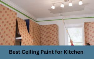 The 12 Best Ceiling Paint for Kitchen [Reviews & Buying Guide]